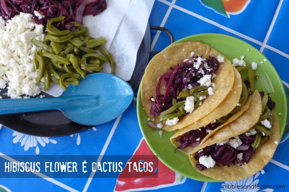Hibiscus Flower and Cactus Tacos - Nibbles and Feasts