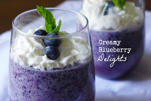 Creamy Blueberry Delights - Nibbles and Feasts