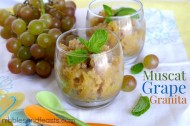 Muscat Grape Granita - Nibbles and Feasts