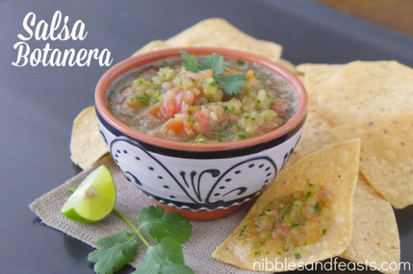 Salsa Botanera #SalsaSaturday {Giveaway} - Nibbles and Feasts