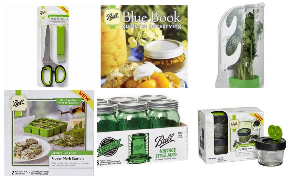 Lime Garlic Shrimp with Shirataki Noodles + Giveaway - Nibbles and Feasts