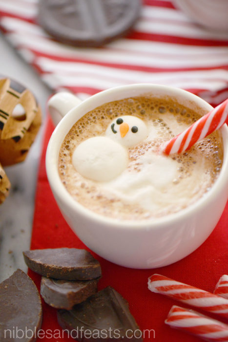 Peppermint Mexican Mocha - Nibbles and Feasts