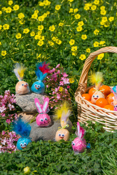 Cuties Spring Critters - Nibbles and Feasts