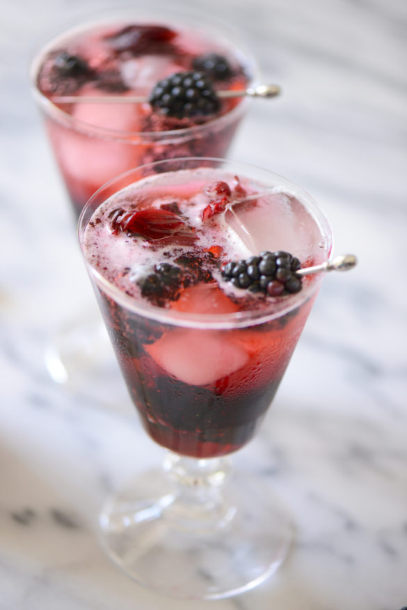Blackberry Hibiscus Fizz - Nibbles and Feasts
