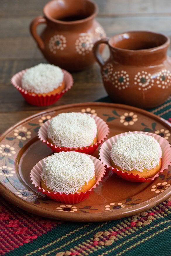 Garibaldis - Nibbles and Feasts