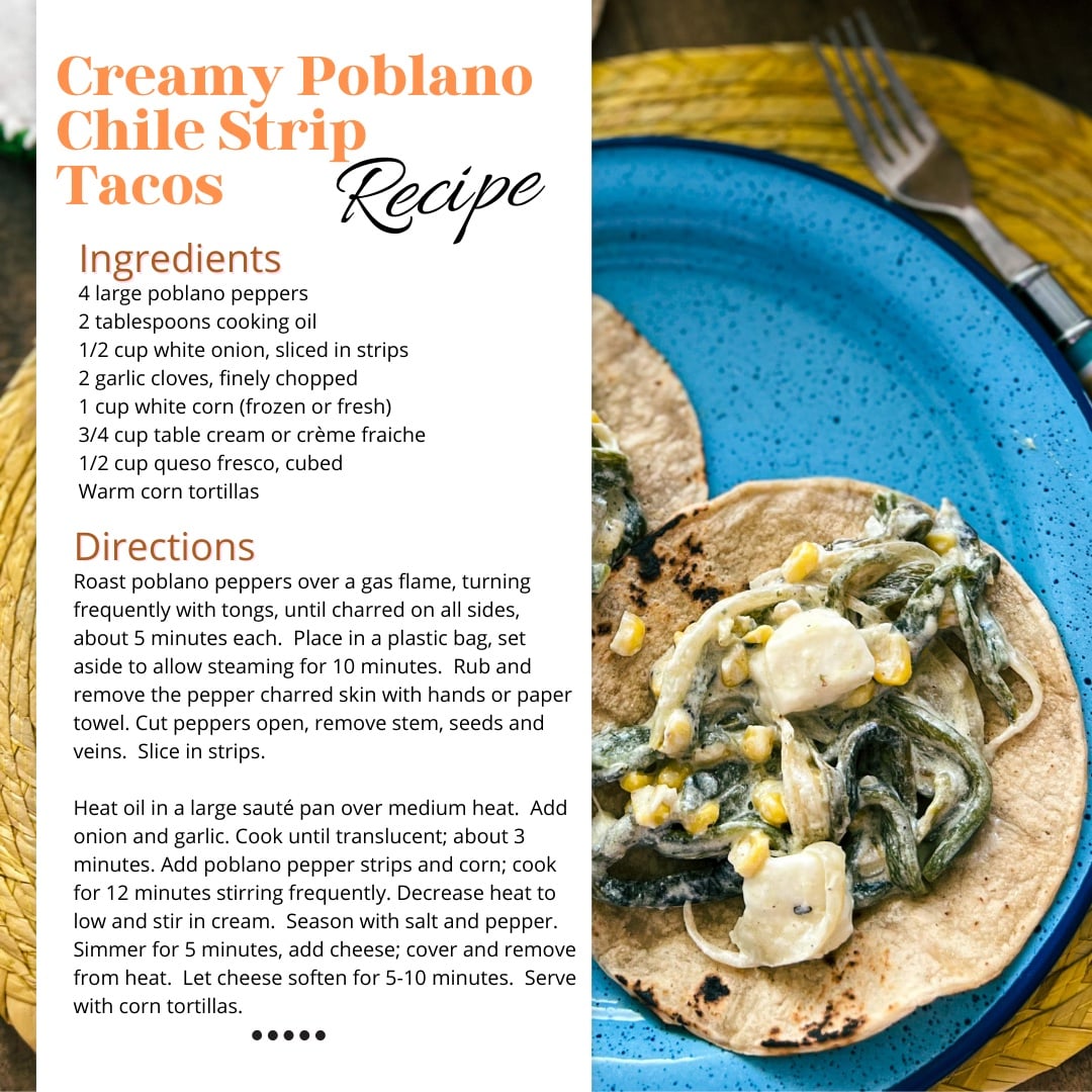 Ericka's Mexican Cocina - Nibbles and Feasts